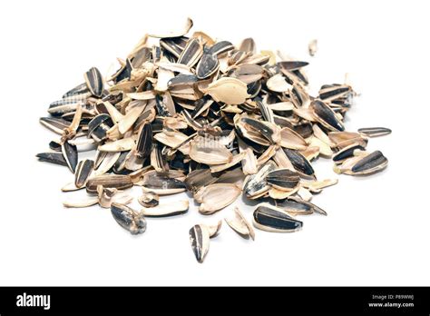 A Pile Of Sunflower Seeds Shells Isolated On White Background Stock