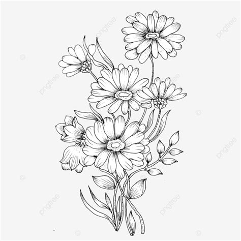 Hand Drawn Flower Bouquet Vector Wedding Floral Bouquet Png And