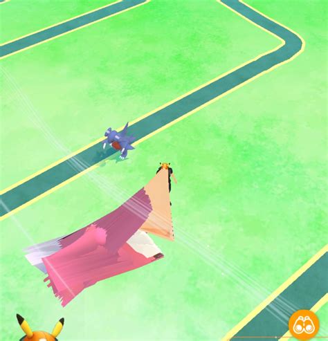 Bug Graphical Bug Flashes On Screen Whenever I See A Gym 01712
