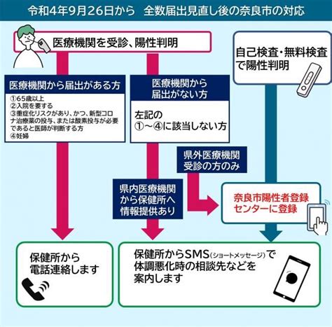 陽性結果から発生届までの流れ ｜大阪 難波・梅田・西梅田・新大阪・泉佐野・堺東・寝屋川市駅・枚方・橿原・天理・三条・箕面・東大阪自費pcr検査
