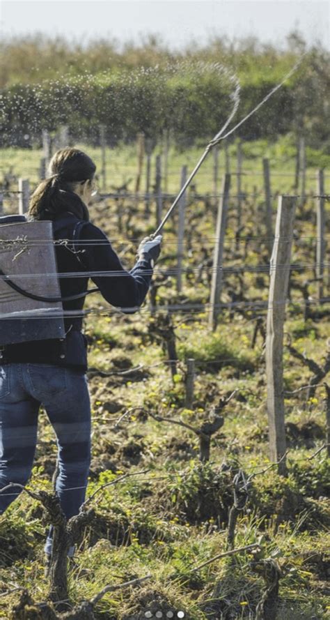 Château DOYAC Wines from Château DOYAC Winetourism