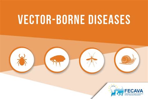Vector Borne Diseases Fecava