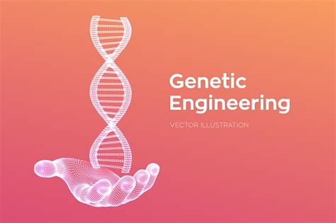 Séquence Dadn En Main Les Molécules Dadn Wireframe Structurent Le