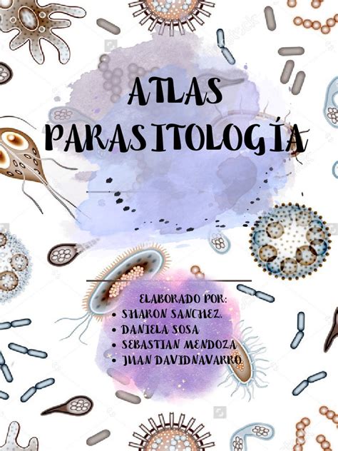 Atlas Parasitología Pdf Diarrea Inmunología