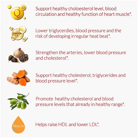 Plant Sterols And Citrus Bergamot Cholesterol Supplement With Garlic