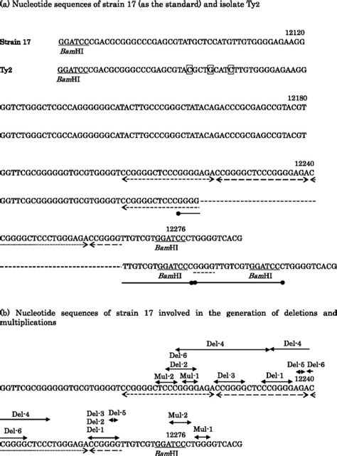 Nucleotide Sequences Of The Region Encompassing Reiteration Vii Of