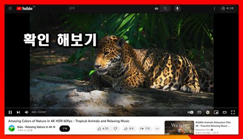 크롬 유튜브 광고 차단 경고 확장 프로그램 애드블록 재생 중단 해결 방법 네이버 블로그