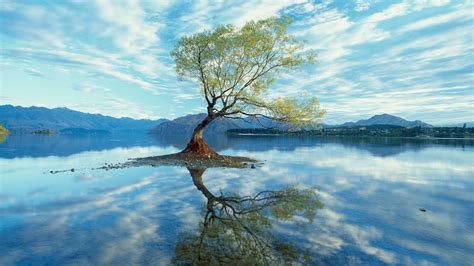 Wallpaper Sunlight Landscape Sea Lake Water Nature Shore