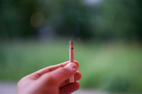 Smoking Cigarette Smoke Free Photo On Pixabay Pixabay