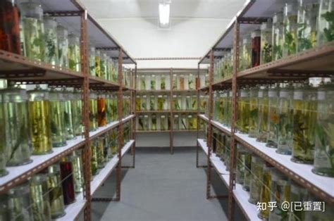 游广东最大中医主题乐园看世界吉尼斯记录中医历史文化浮雕长廊 知乎