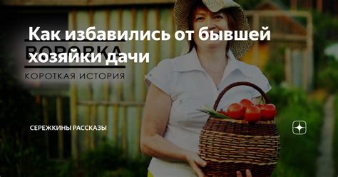 Как избавились от бывшей хозяйки дачи Сережкины рассказы Дзен