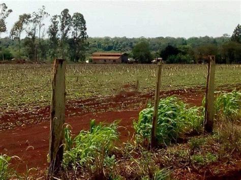 Imóveis de ex prefeito avaliados em R 13 5 milhões vão a leilão