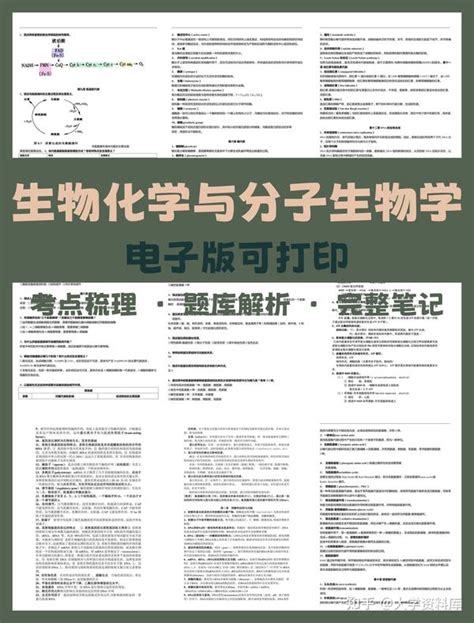 生物化学与分子生物学 期末试卷答案解析重点笔记知识点考点梳理生物化学与分子生物学名词解释pdf电子版考研专升本真题期末思维导图