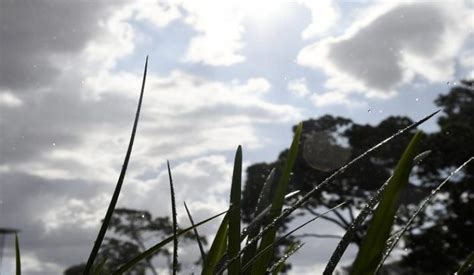 Meteorologia Prevê Tempo Instável E Temperaturas De 35°c Para Esta