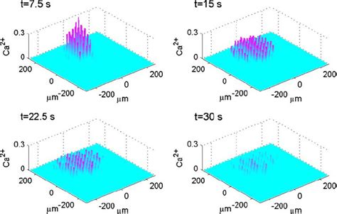 A Diagrammatic Representation Of The Theoretical Spatial And Temporal Download Scientific