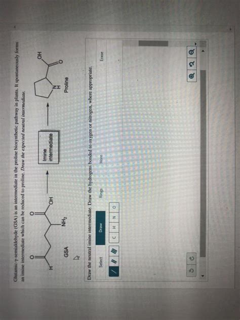 Solved Glutamic Y Semialdehyde Gsa Is An Intermediate In