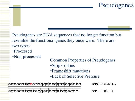 Survey Of Misannotations And Ppt Download