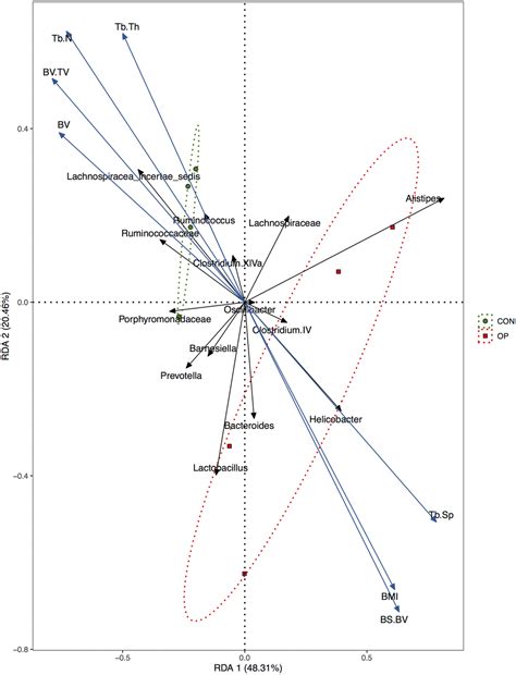Association Of Gut Microbiota Composition And Function With An Aged Rat