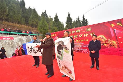 現代散文：積善黃牛名遠揚 每日頭條