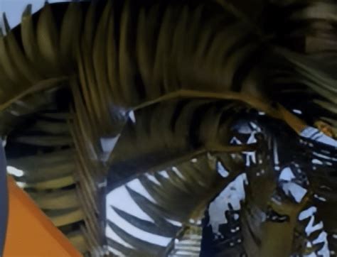 Duplicate Frame Placed At The End Of Output File Bugs And Issues