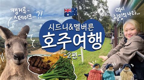 🇦🇺일주일 호주여행기 2 그레이트오션로드🐨 필립섬 펭귄 3월 시드니and 멜버른 여행 ️ 캥거루와의 대담 Youtube
