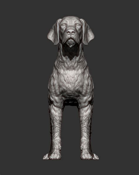 🐕 German Wirehaired Pointers 3d Print Model・ 3d File For ・cults