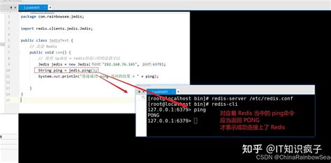 Redis 当中 Jedis 的详细刨析与使用 知乎