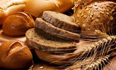 Organic Enriched Bread Production Pioneered By Iranian Biotech Firm