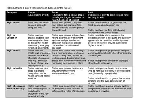 Examples Of The Respect Protect Remedy Framework Table Illustrating A States Various Kinds