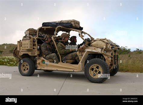 U S Marines With 1st Battalion 2d Marine Regiment 2d Marine Division