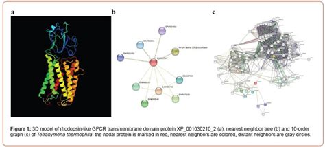 Intercellular And Intracellular Networks Signal Processing And Evolution Iris Publishers