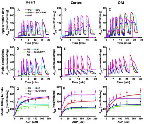 Model Simulations And Fittings To The Ocr Experimental Data Of Isolated