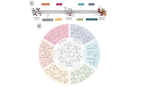 Early Selection Of The Amino Acid Alphabet Was Adaptively Shaped By