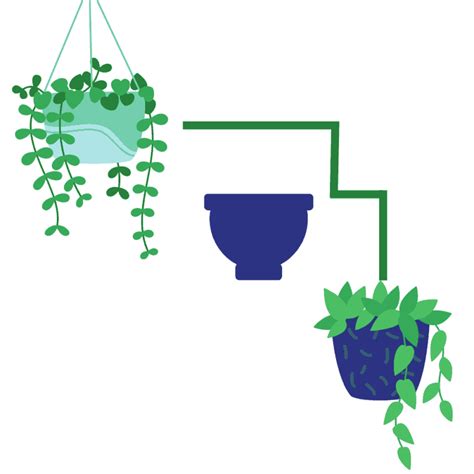 When To Repot String Of Pearls Explained Plants Craze