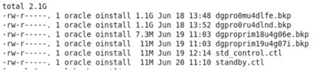 REFRESH STANDBY USING INCREMENTAL SCN BASED BACKUP Doyensys Blog
