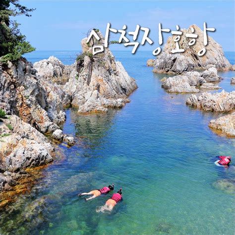 강원도 삼척 여행 여름휴양지 삼척 장호항 갈남항 여름바다 코스 네이버 블로그