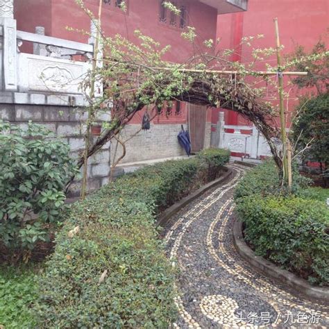 九色游霧雨終南山 問道古樓觀 每日頭條