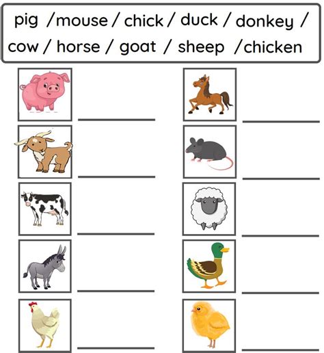 Free Printable Science Worksheets For Preschool Animals 06