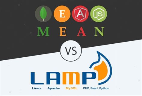 Conclusive Guide For Getting Flutter App Development Verve Systems