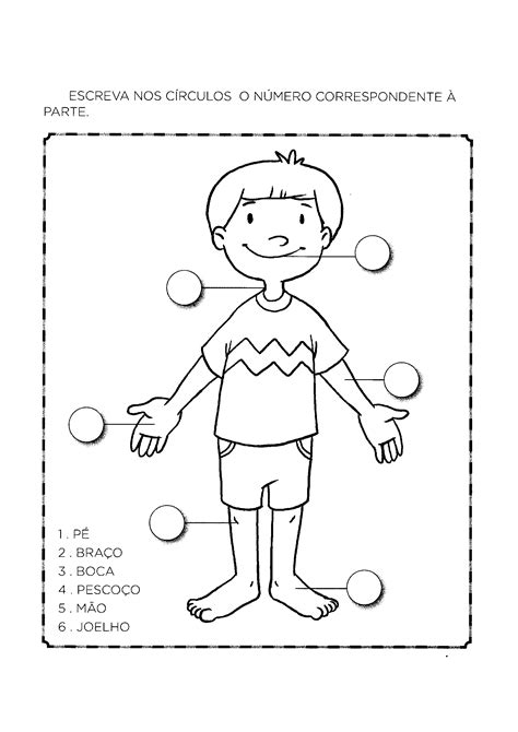 Atividade Sobre As Partes Do Corpo Educação Infantil Bruniv