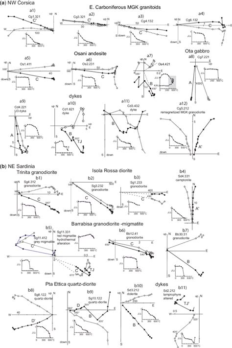 Examples Of Orthogonal Projections Of Thermal Demagnetization Process