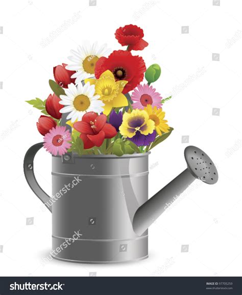 Watering Can With Spring Flowers Stock Vector Illustration 97705259