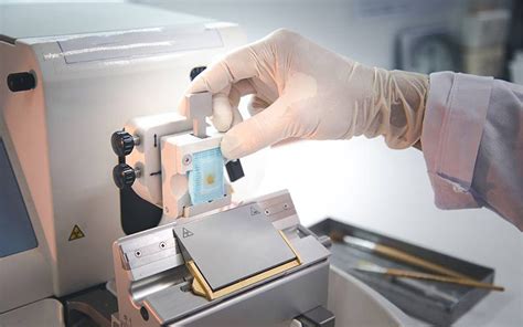 Tissue Embedding Wax Supplier Poth Hille