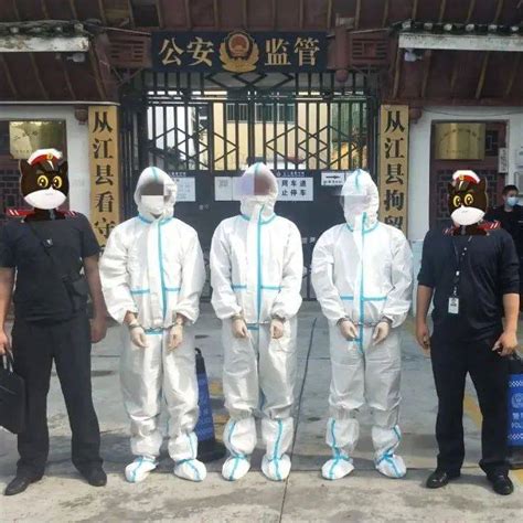抓获9人！天柱公安破获3起帮助信息网络犯罪活动案侦办案件福建省凯里