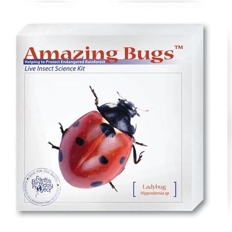 Ladybug Amazing Bugs® Kit With Voucher Carolina Biological Supply