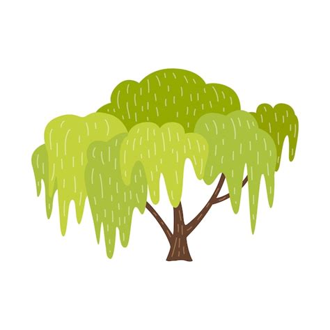 Willow Trees Clipart How To Grow And Care For Willow Trees