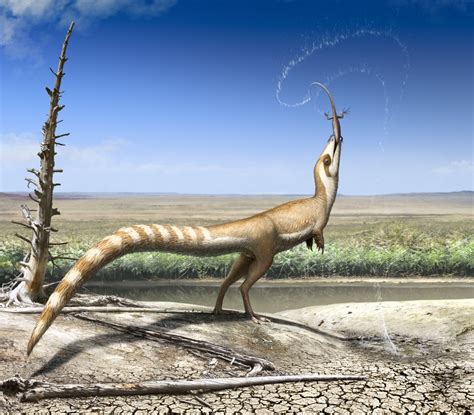 Sinosauropteryx Feathered Dinosaur Hid From Predators Using Bandit