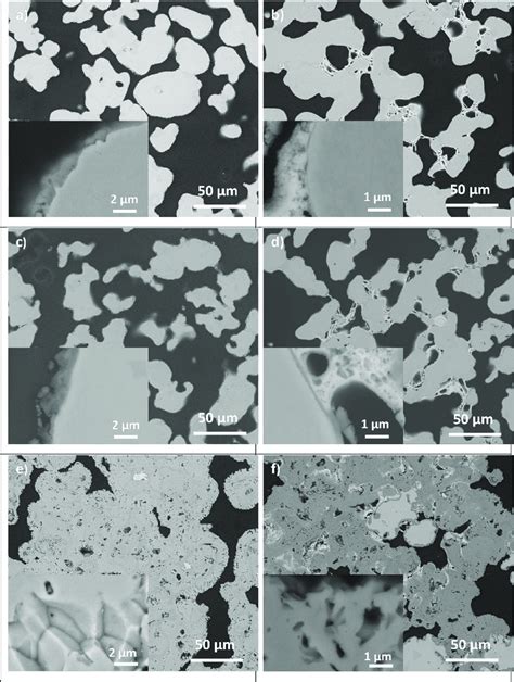 Metallographic Cross Section Micrographs Of The Ms After Oxidation In