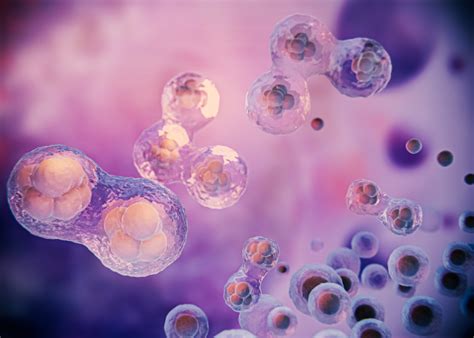 Single Cell Analysis Voden Medical Instruments Spa