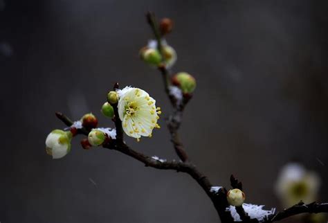 新人初入樓張國泉 每日頭條
